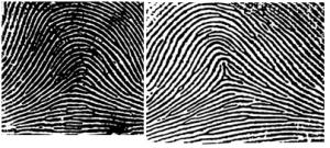 Finger Print Recognization - Fundamentals, Advantages and Applications