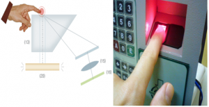 Finger Print Recognization - Fundamentals, Advantages and Applications