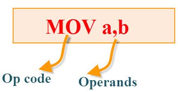 Know Assembly Language Programming of 8086