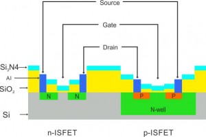 Ion Sensitive Field-Effect Transistor - ISFET Working Principle