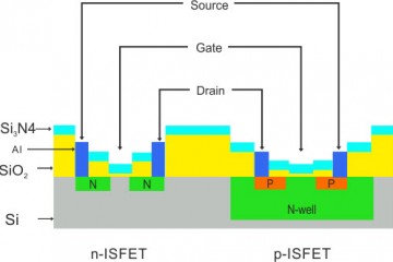 Ion Sensitive Field-Effect Transistor - ISFET Working Principle