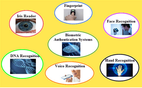 Know More About Biometric Authentication System And Applications