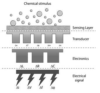 Chemical Sensor : Structure, Circuit, Differences & Its Applications