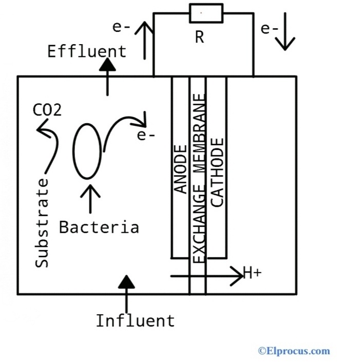 Microbial Fuel Cell : Construction, Types, Components & Its Working