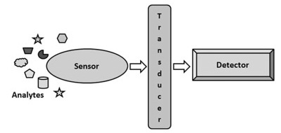 Nanosensor : Working, Fabrication Techniques, Types & Its Uses