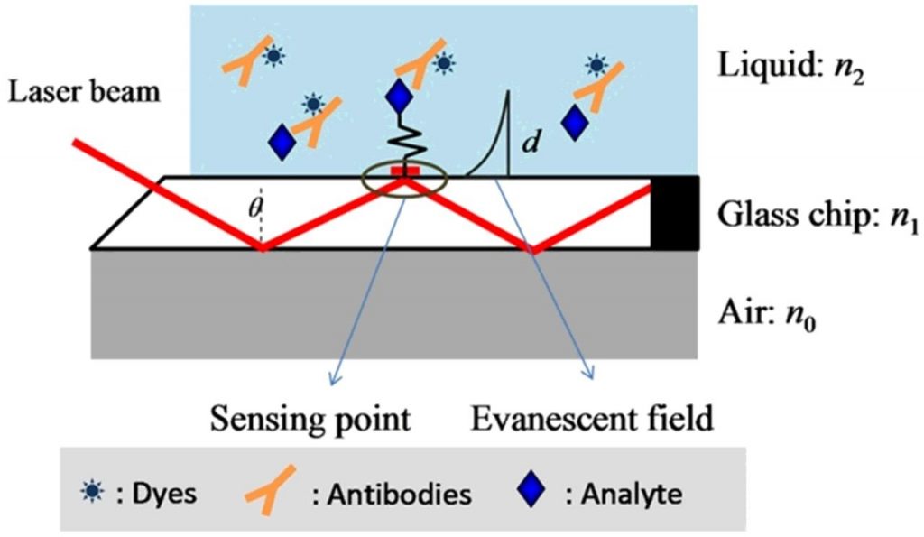 Biosensor - Principle, Components, Types & Their Applications Biosensor - Principle, Components, Types & Their Applications