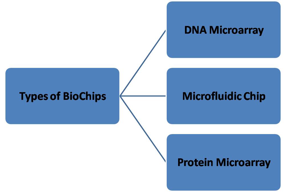 What is a Biochip? - Working Principle, Types of Biochips & Applications