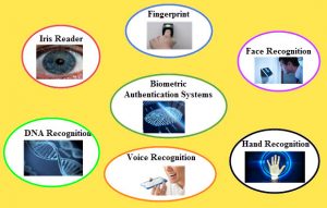 Know More About Biometric Authentication System And Applications