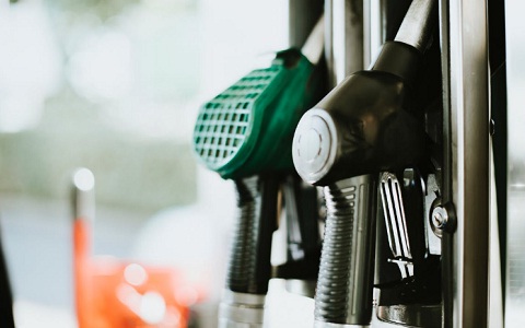 Motor Pump: Working Principle, Types, Specifications, and Differences